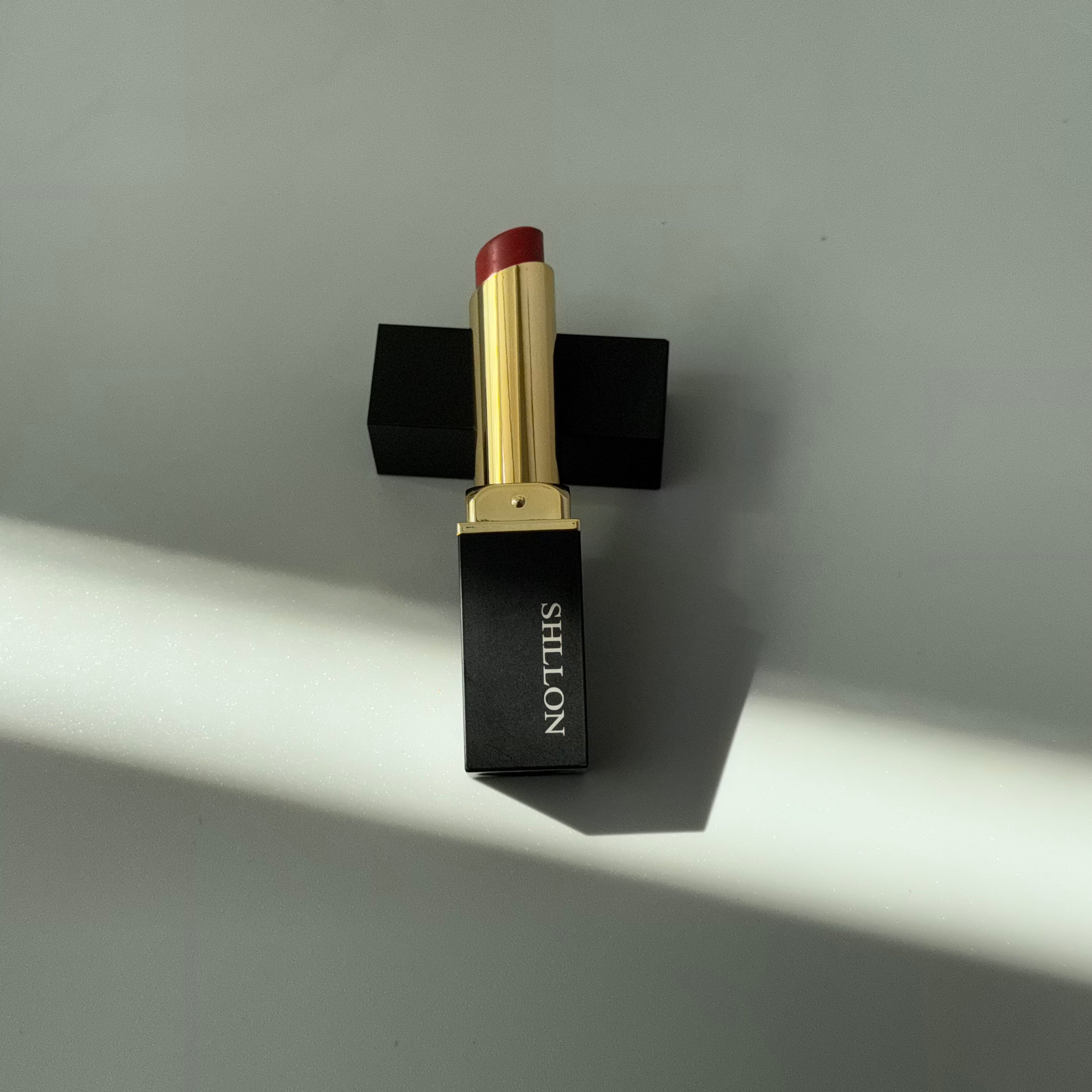 SHLLON Lipsticks, Moisturizing Lipstick, Hydrating, Long Lasting High ...